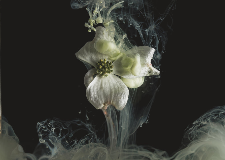 Ichirin Garden Studio | Japanese Floral Art · Los Angeles